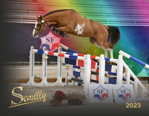 Catalogue 2023 | HARAS DE SEMILLY