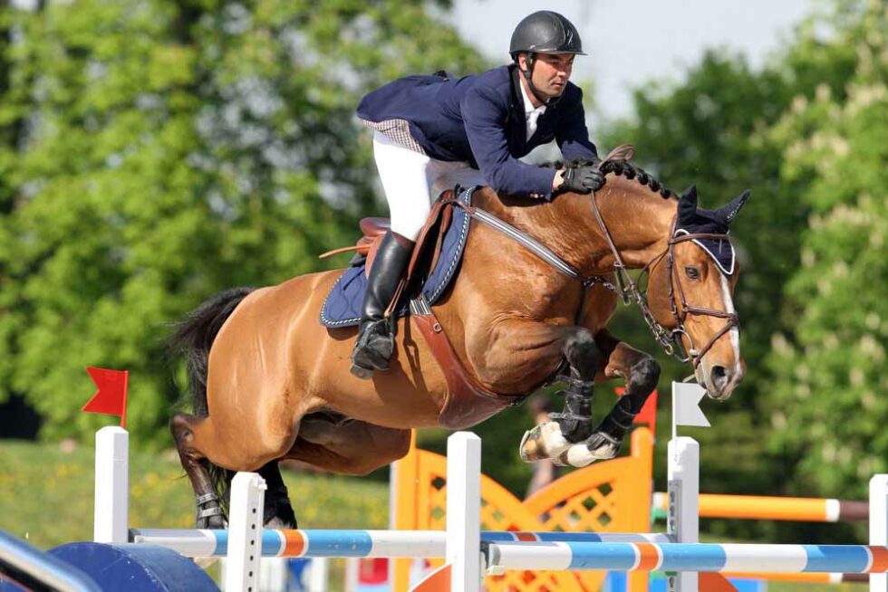 Étalons - HARAS DE SEMILLY