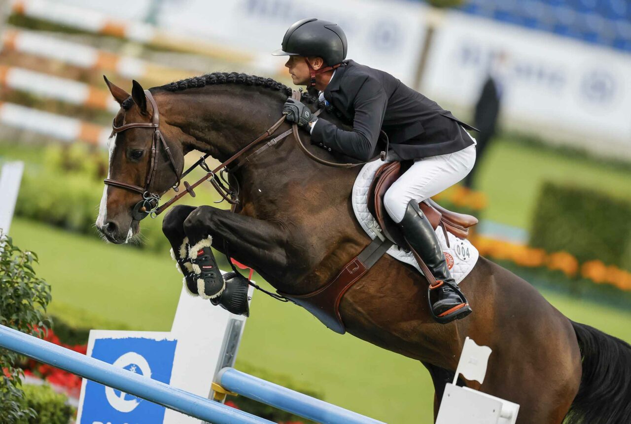 Uriko | HARAS DE SEMILLY