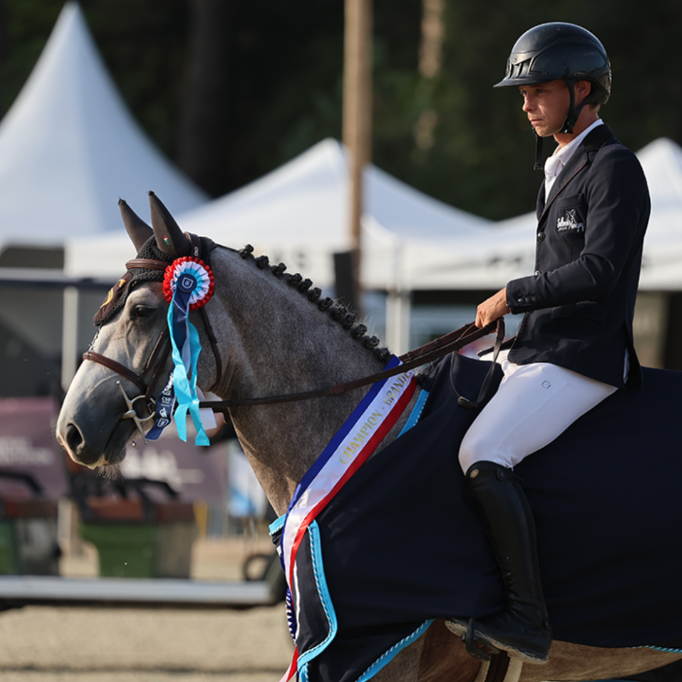 Étalons - HARAS DE SEMILLY