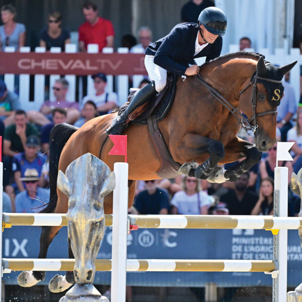 Étalons - HARAS DE SEMILLY