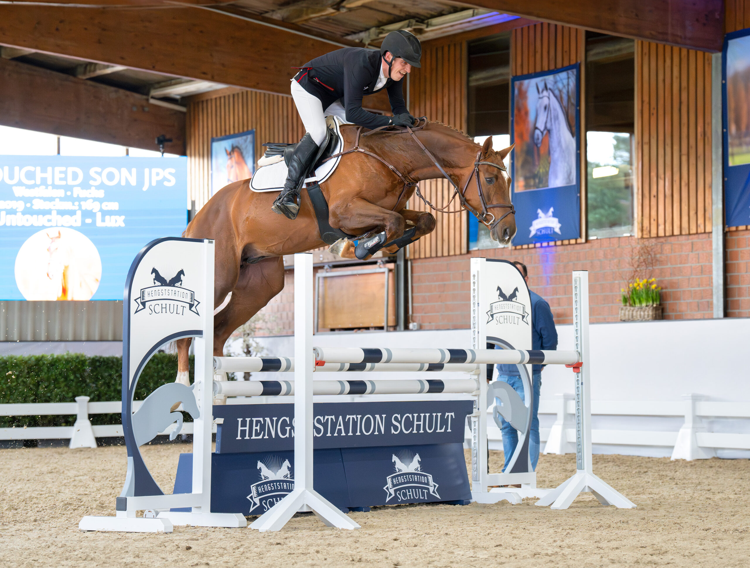 Untouched Son JPS - HARAS DE SEMILLY