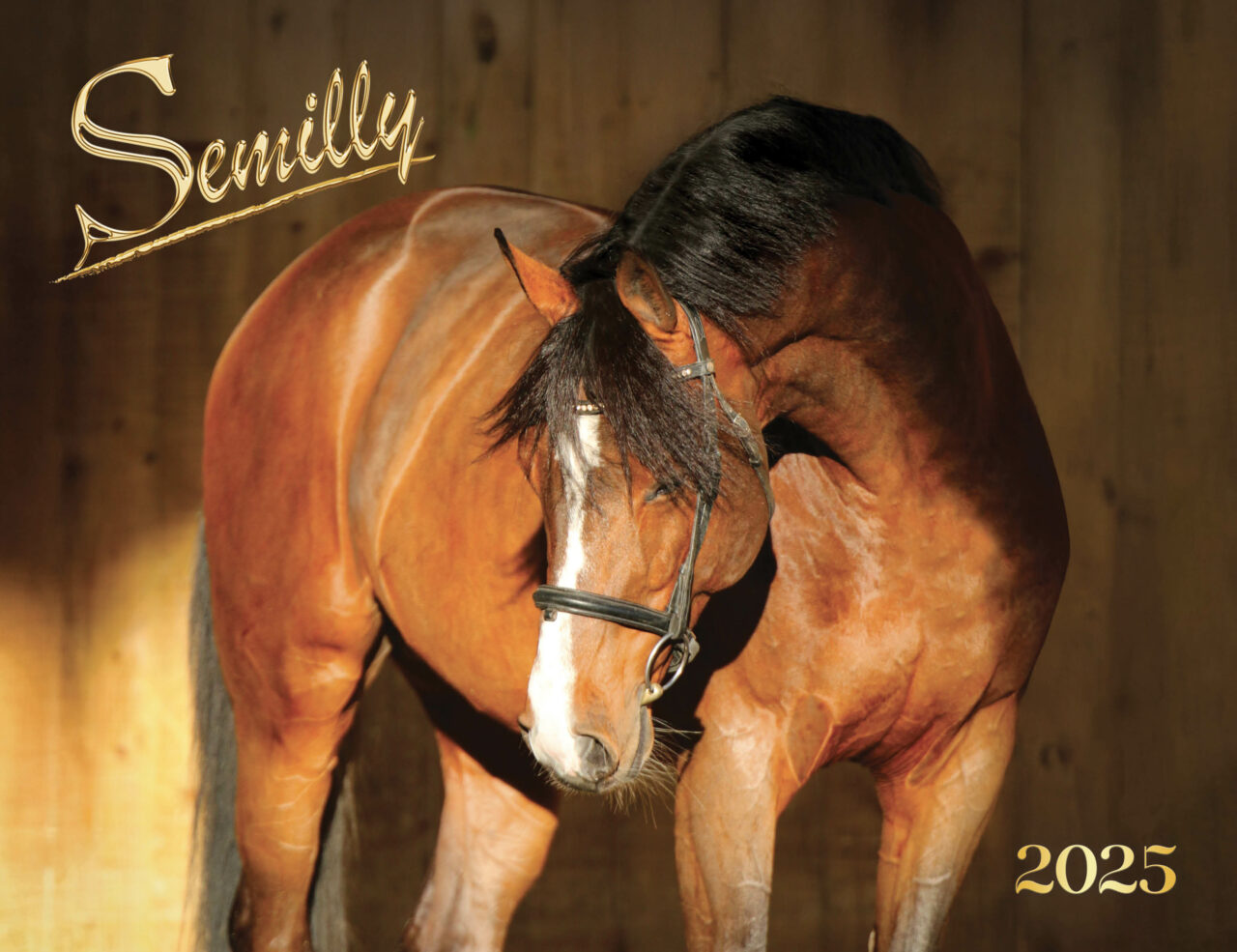 ACCUEIL Fr - HARAS DE SEMILLY