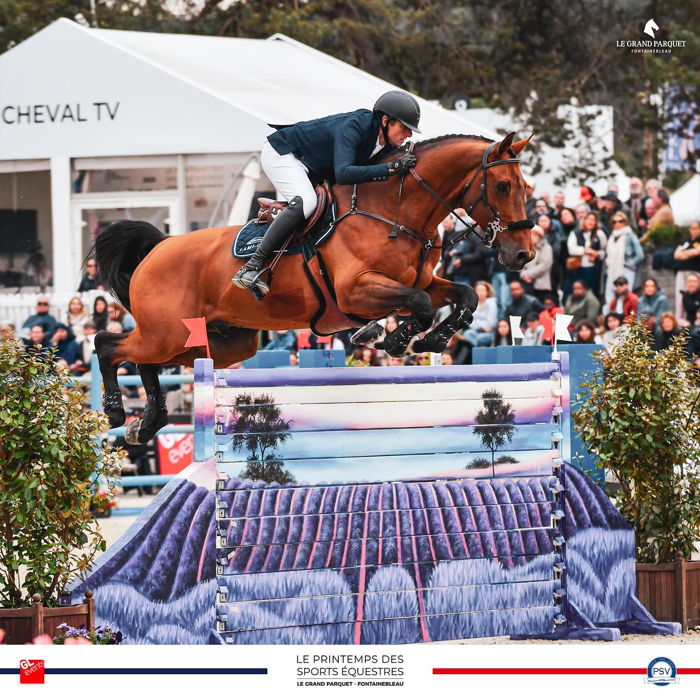 Semilly CSI News 28/04/2025 - HARAS DE SEMILLY